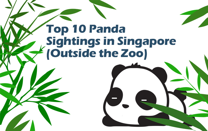 Top 10 Panda Sightings in Singapore, Outside the Zoo